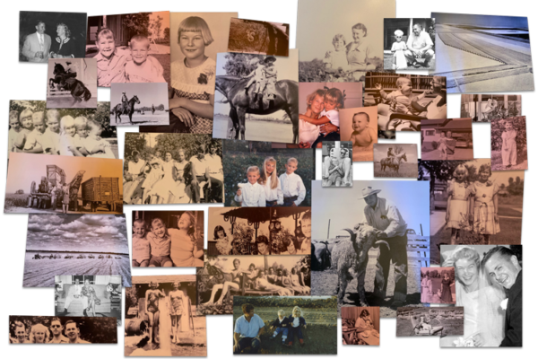 Our Story - Nichols Farms